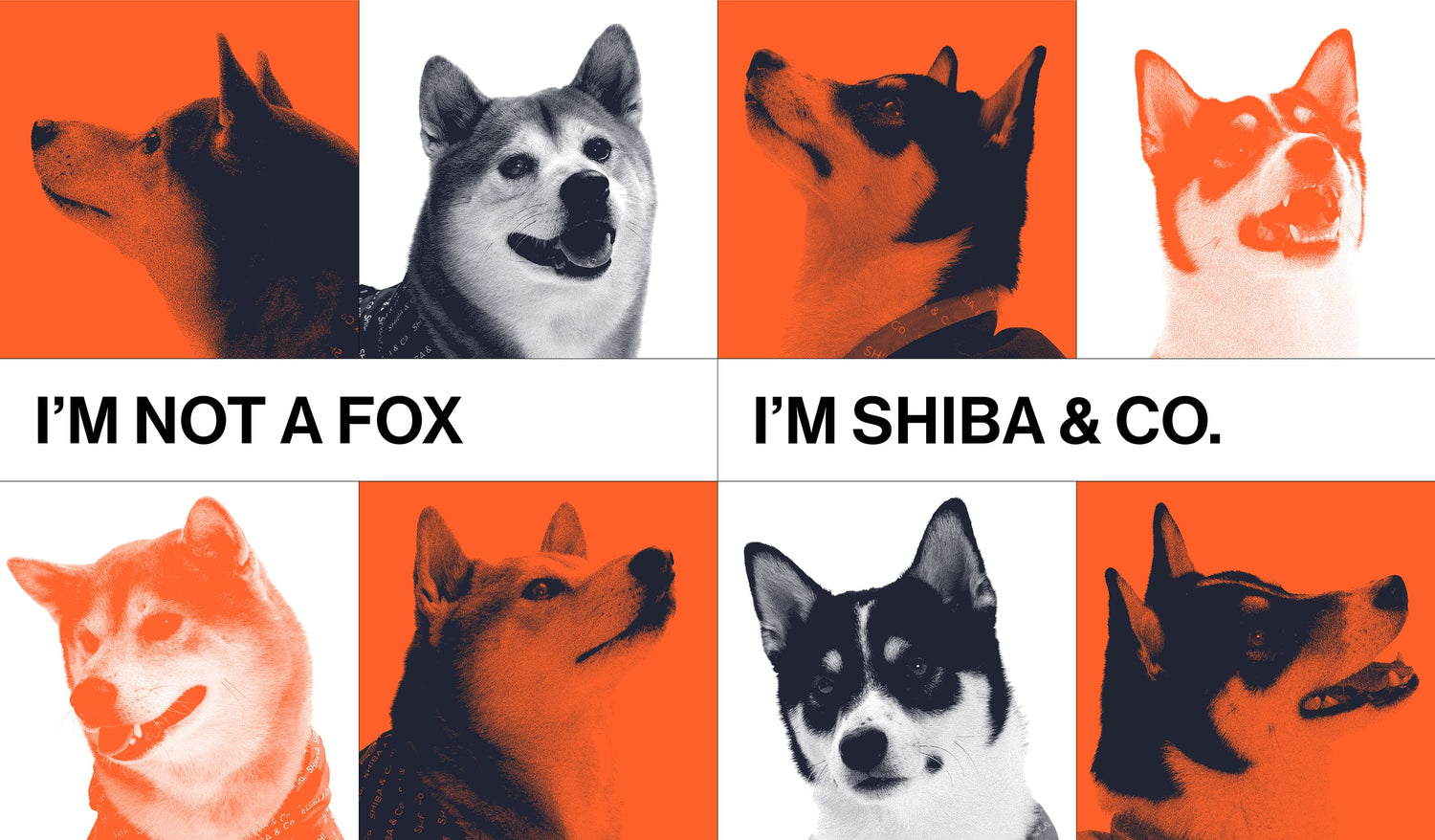 SHIBA & Co.™ Official Site | Luxury Lifestyle Dog Accessories | SHIBA & CO.