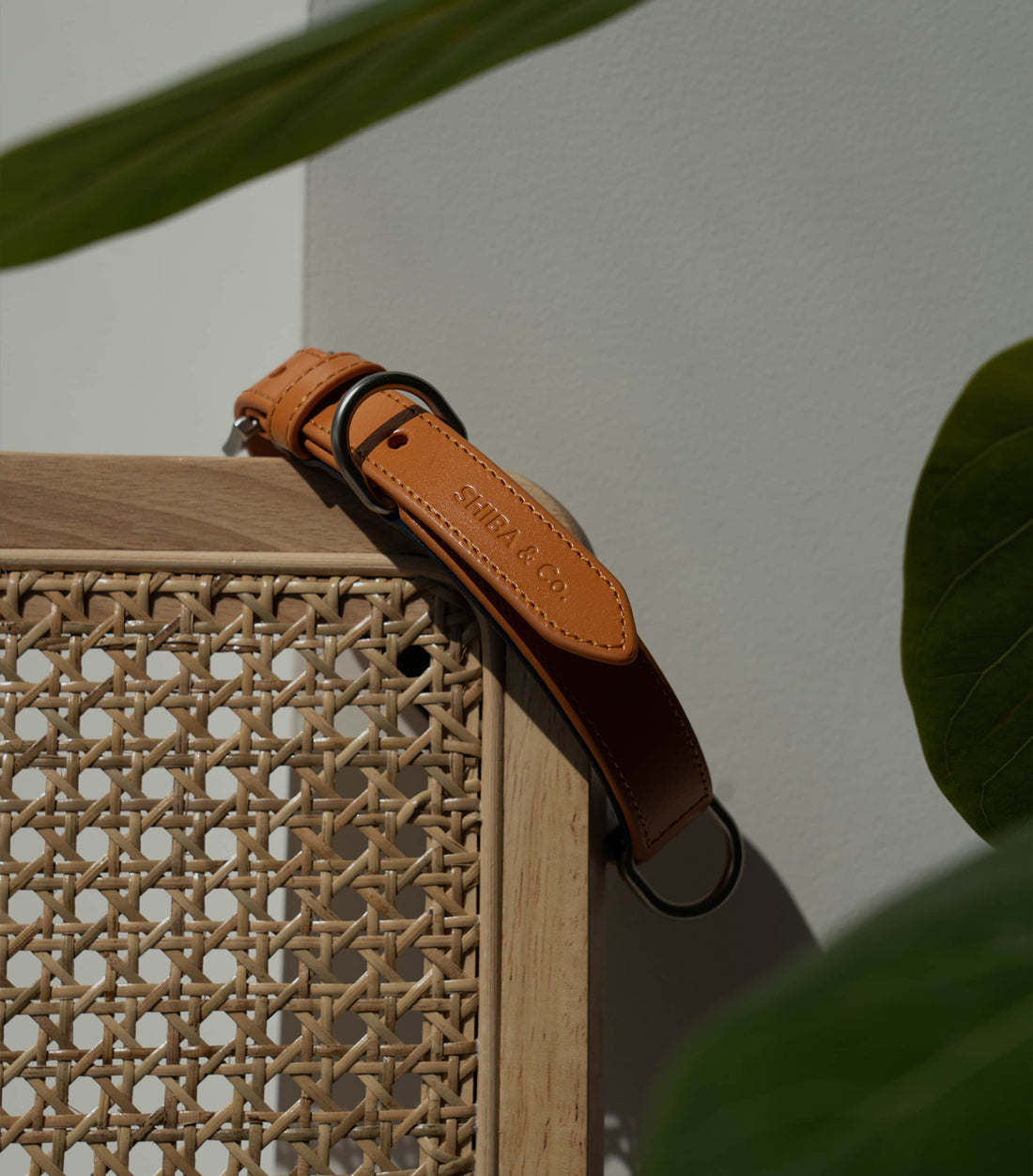 SHIBA & Co.® Official Site | Luxury Lifestyle Dog Accessories | SHIBA & CO.