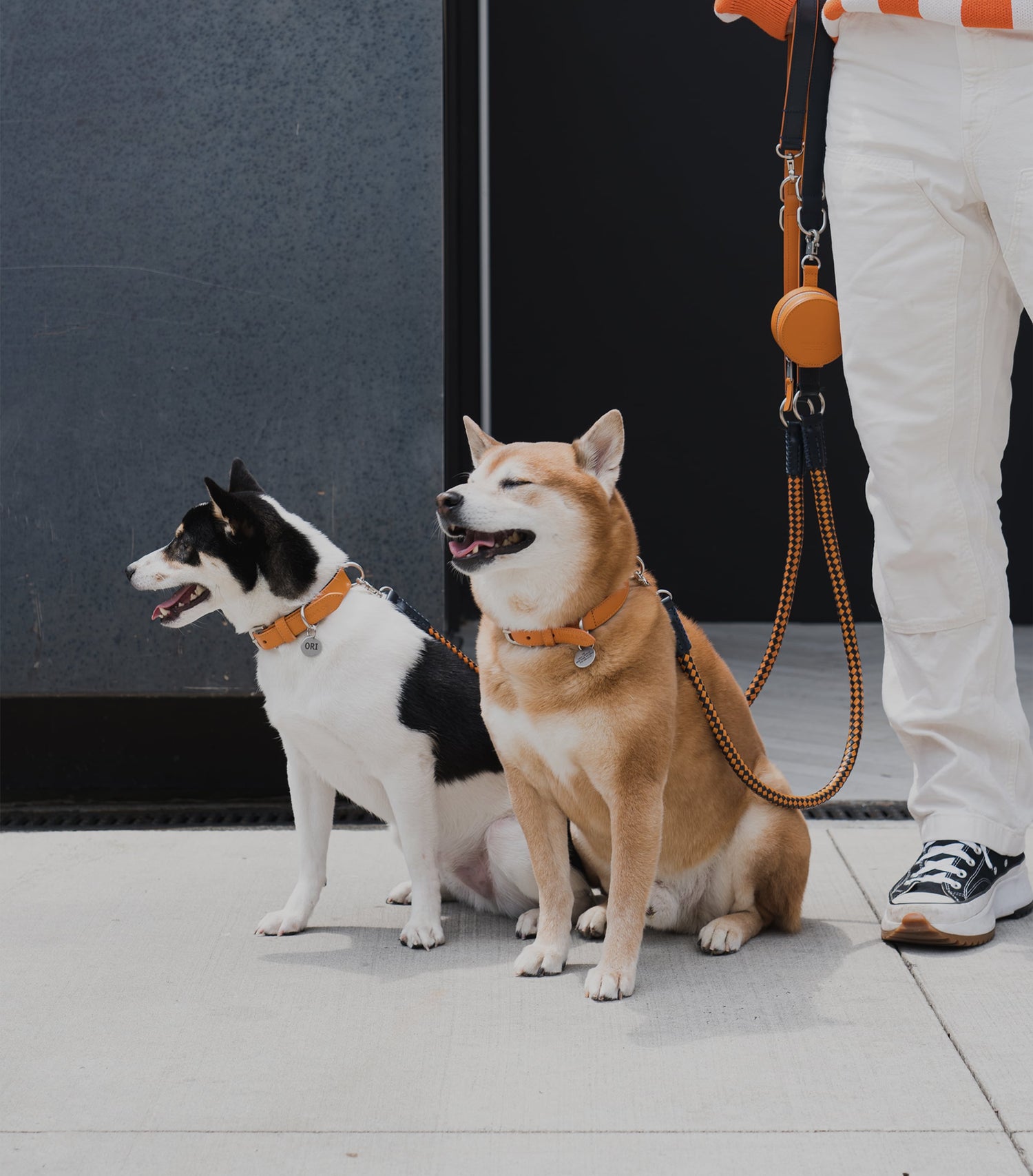 SHIBA & Co.® Official Site | Luxury Lifestyle Dog Accessories | SHIBA & CO.