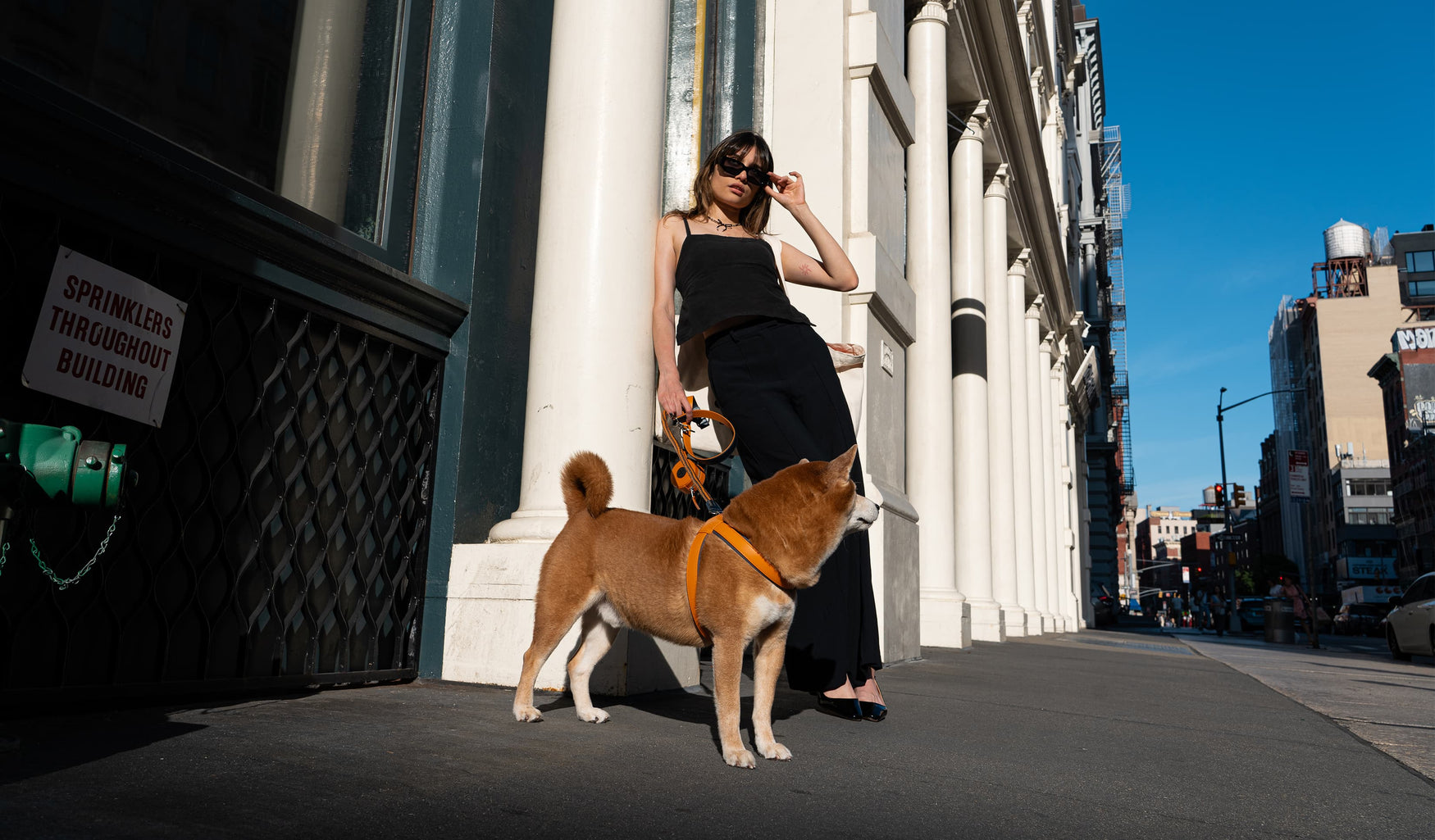 SHIBA & Co.™ Official Site | Luxury Lifestyle Dog Accessories | SHIBA & CO.