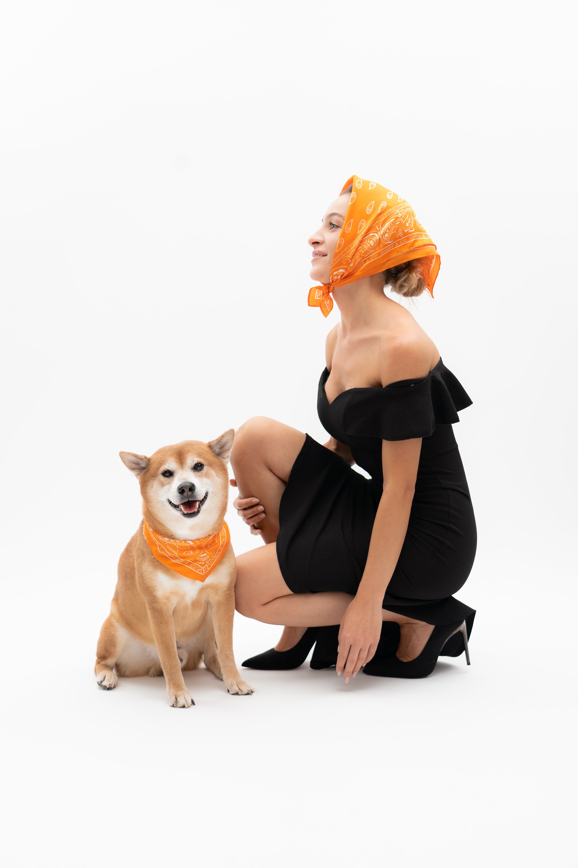 SHIBA & Co.™ Official Site | Luxury Lifestyle Dog Accessories | SHIBA & CO.