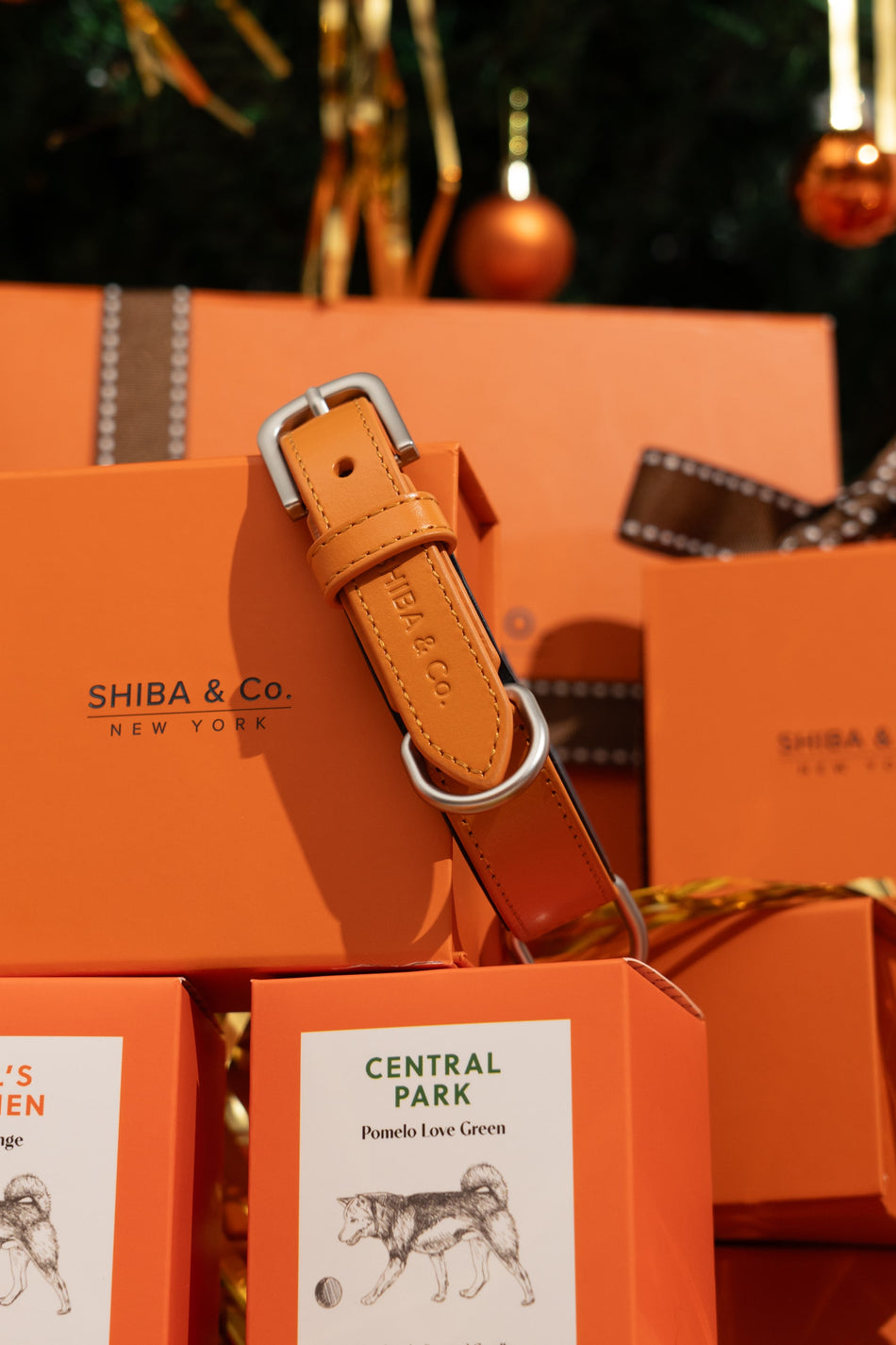 SHIBA & Co.® Official Site | Luxury Lifestyle Dog Accessories | SHIBA & CO.